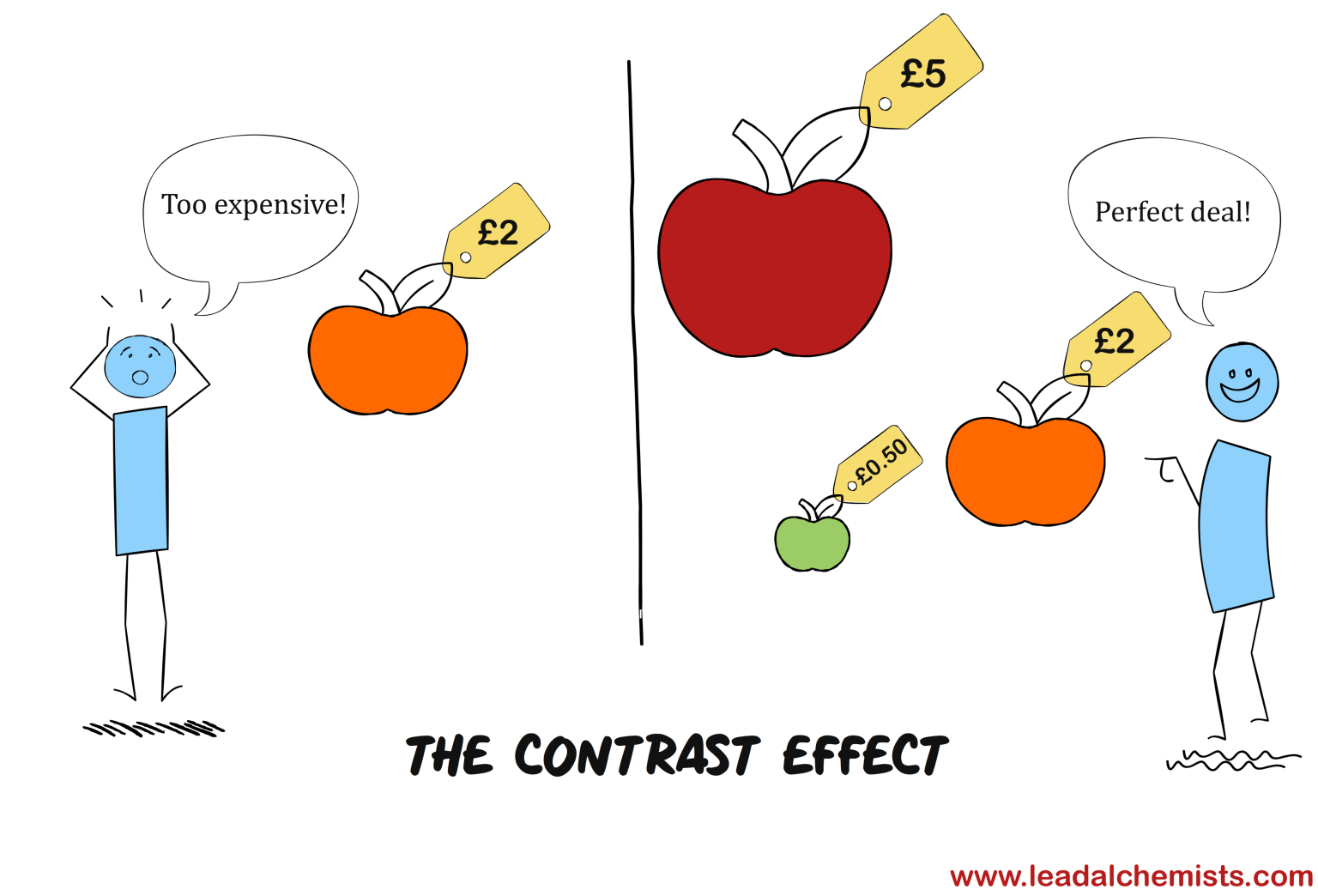 Guide to The Contrast Effect in Marketing: Description, Psychology, and ...